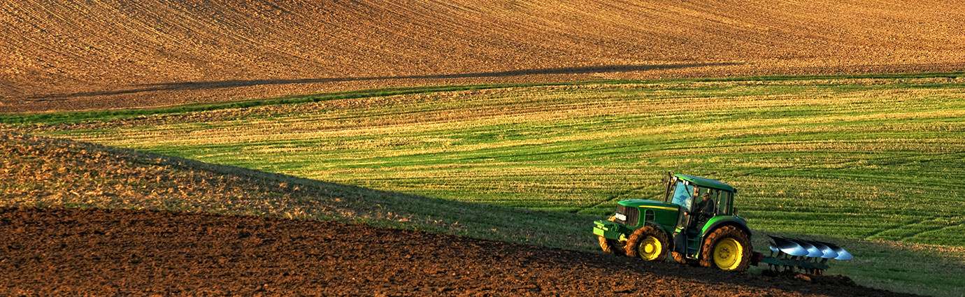 Economic Calculation in the Socialist Commonwealth