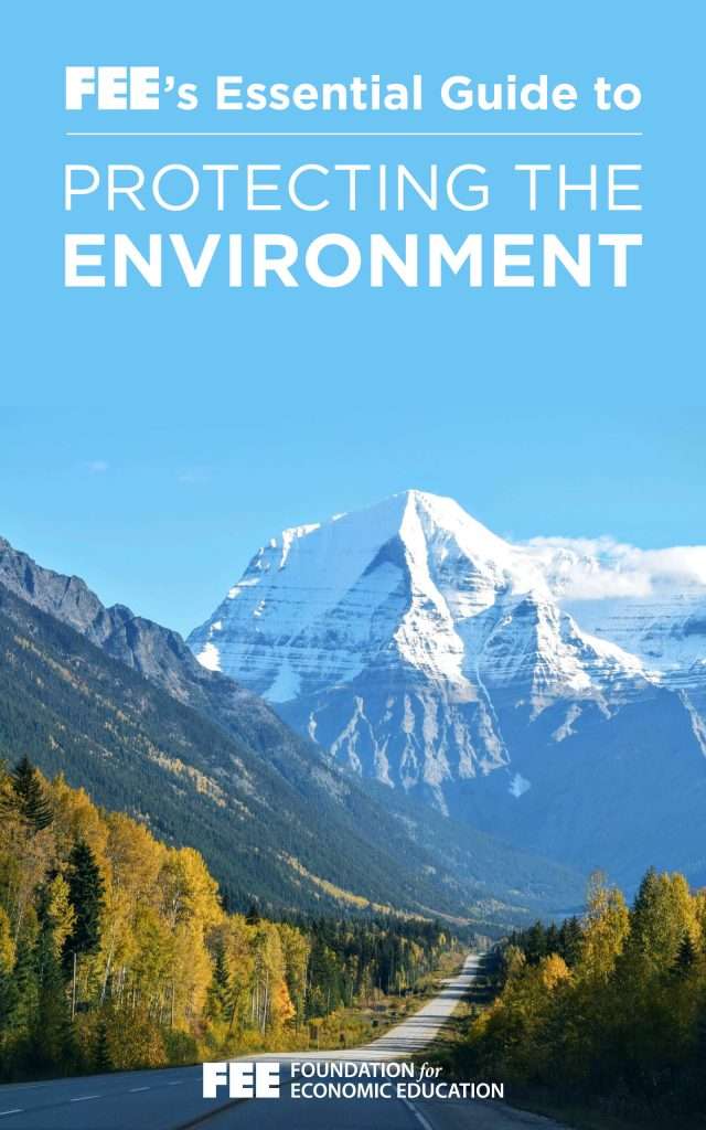 FEE’s Essential Guide to Protecting the Environment