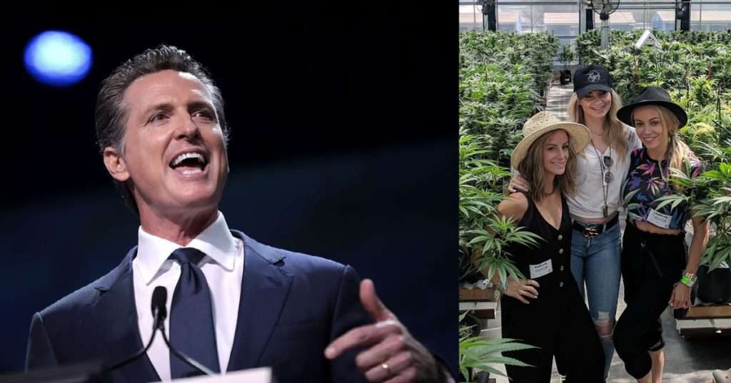 California’s $100 Million Marijuana Bailout Tells You All You Need to ...