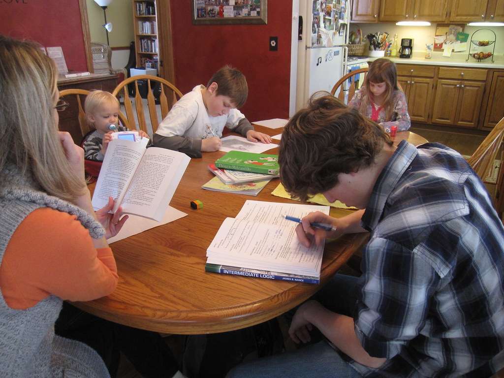 “We” Should Not Regulate Homeschooling