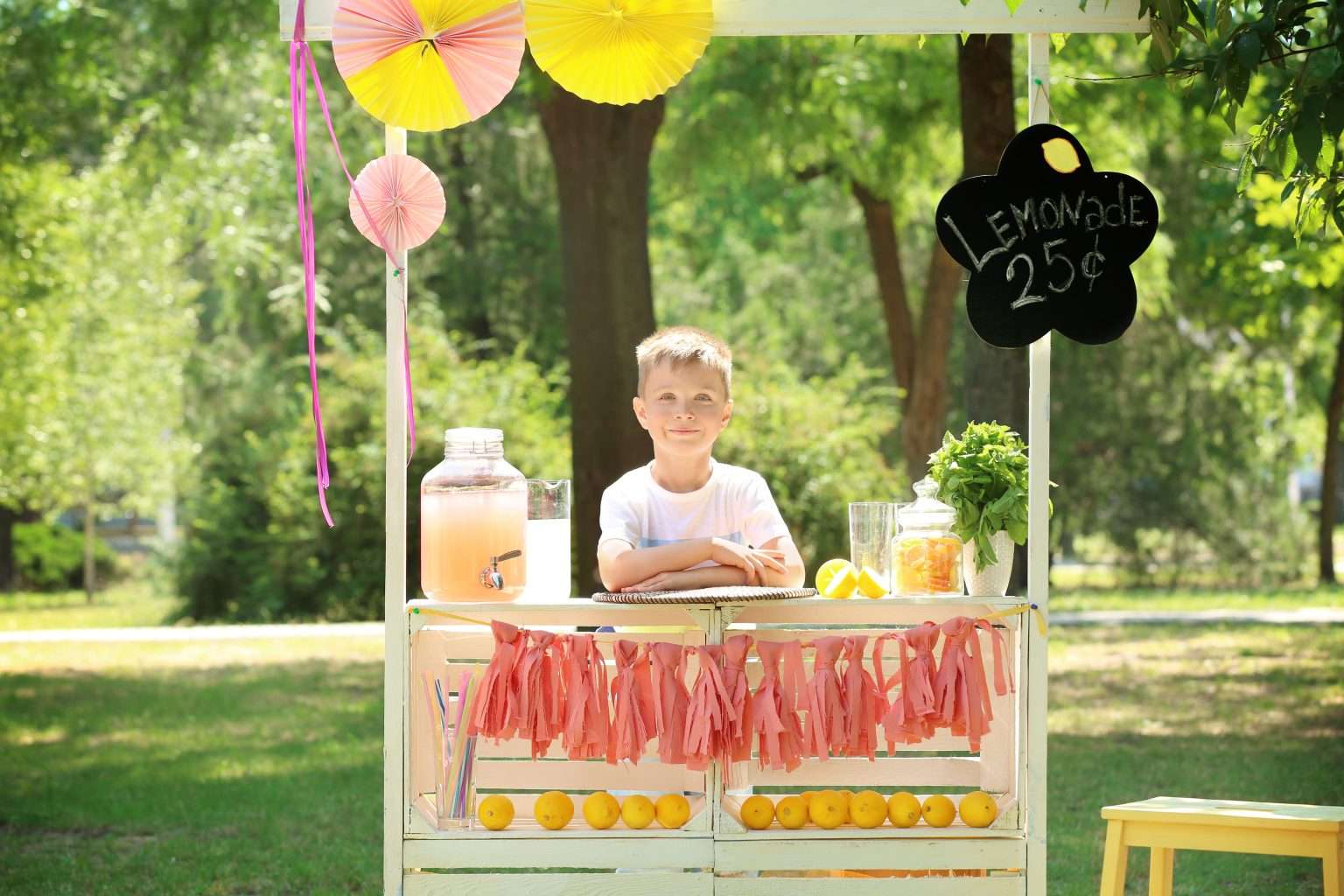 What My Childhood Lemonade Stand Taught Me about Economics and Government