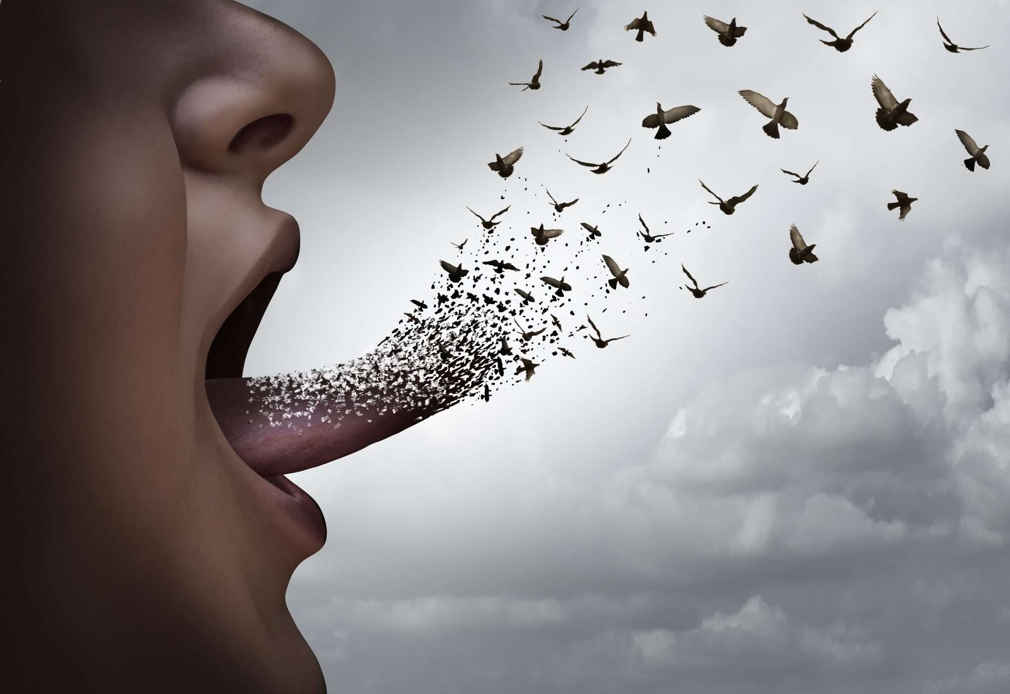 Free Speech in the Age of Digital Platforms