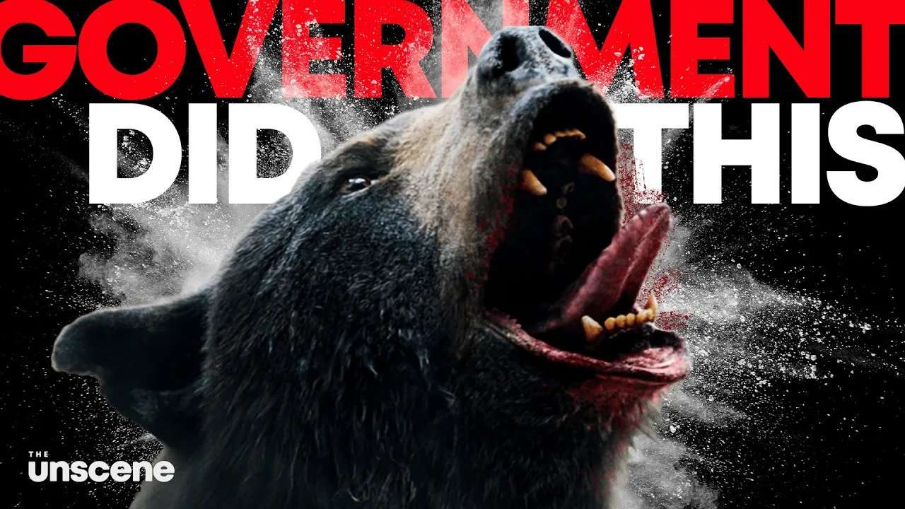 The Preventable Tragedy of Cocaine Bear - FEE