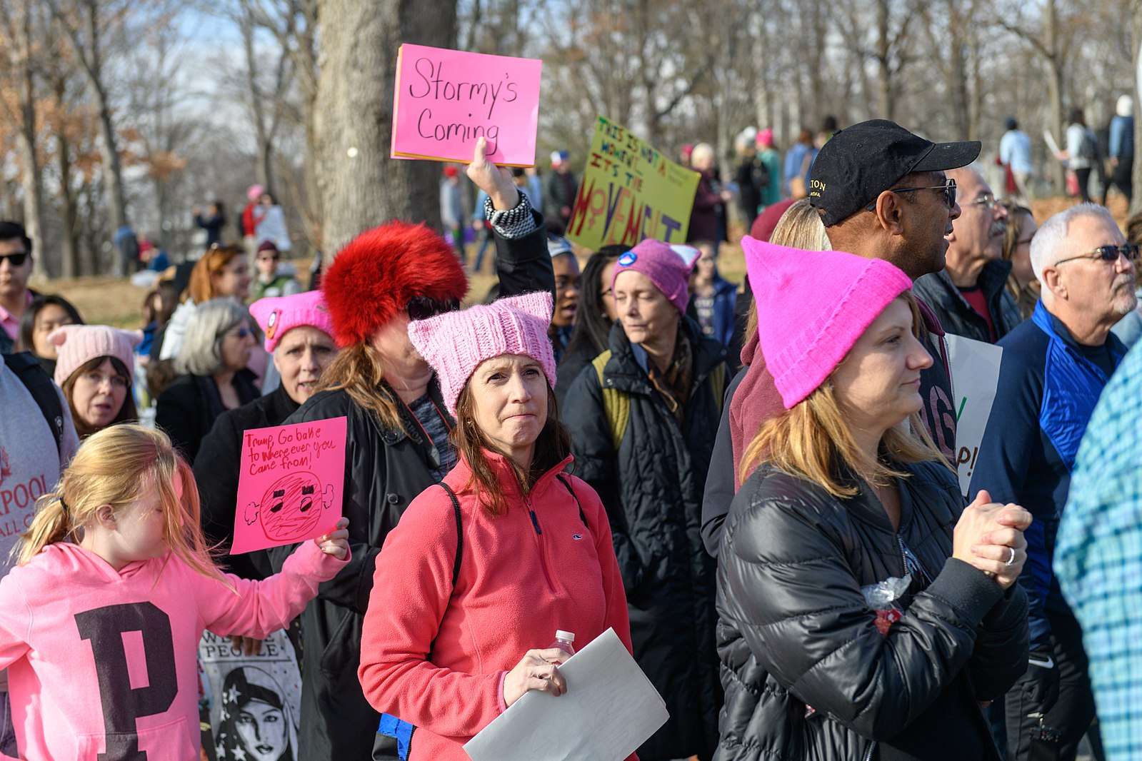 Why Ignorance Prevails in Politics