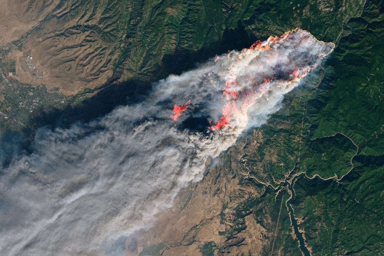 Why Los Angeles Is Burning - FEE